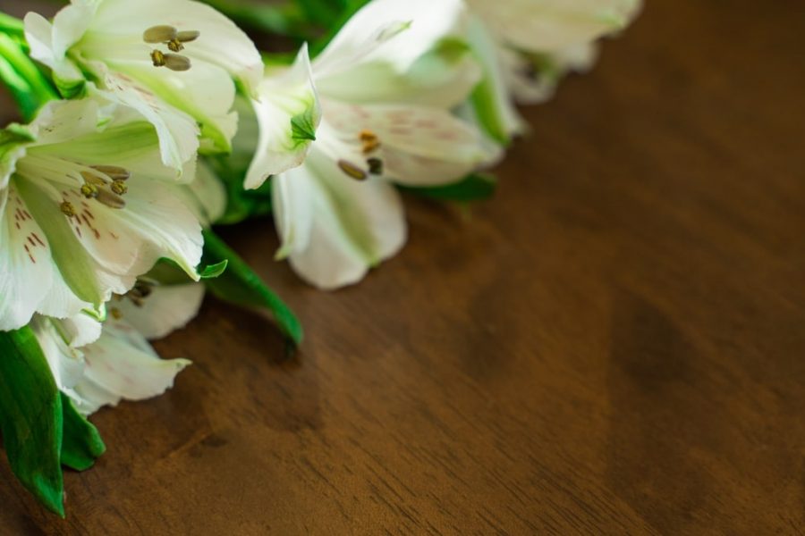 Embalming 101: A Beginner's Guide - Funeral Basics